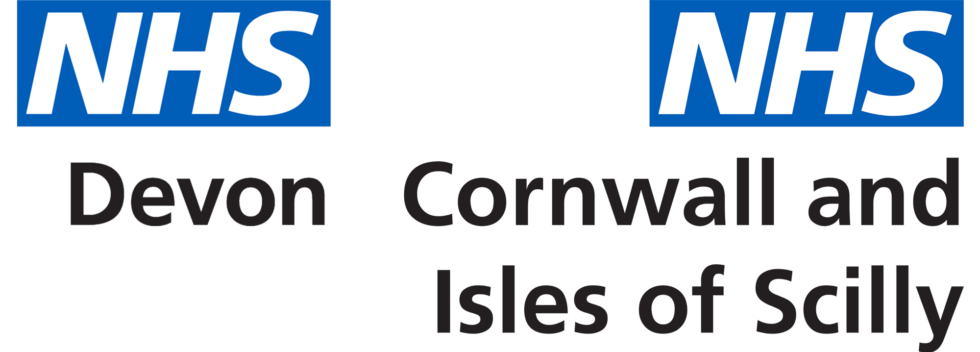 About Cornwall and Isles of Scilly ICB | Devon and Cornwall and the ...